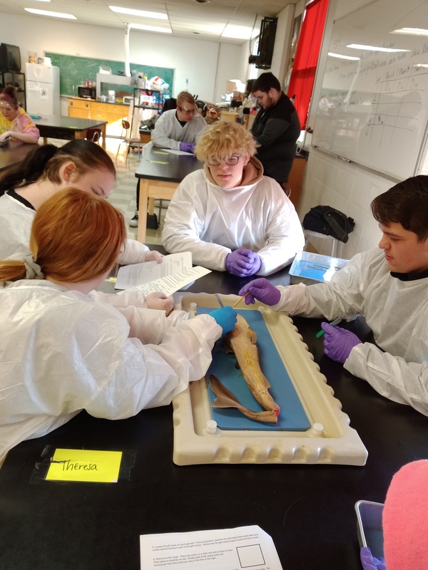 Bio 2 Students Participate in Dissections | Maries County R-2 School ...